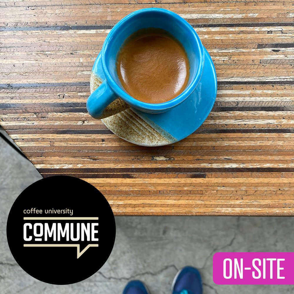 Hands-on Pocket Classes | Commune Cafe+Bar